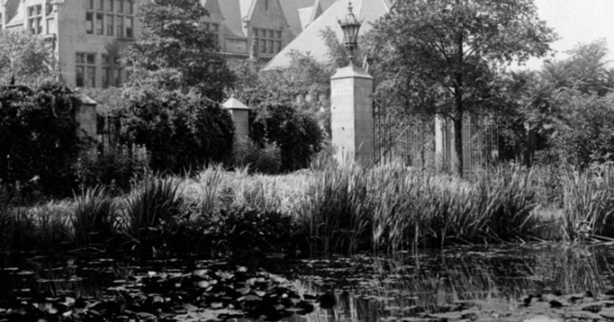 Botany Pond Undergoes Sustainable Upgrades | Ecology & Evolution | The ...