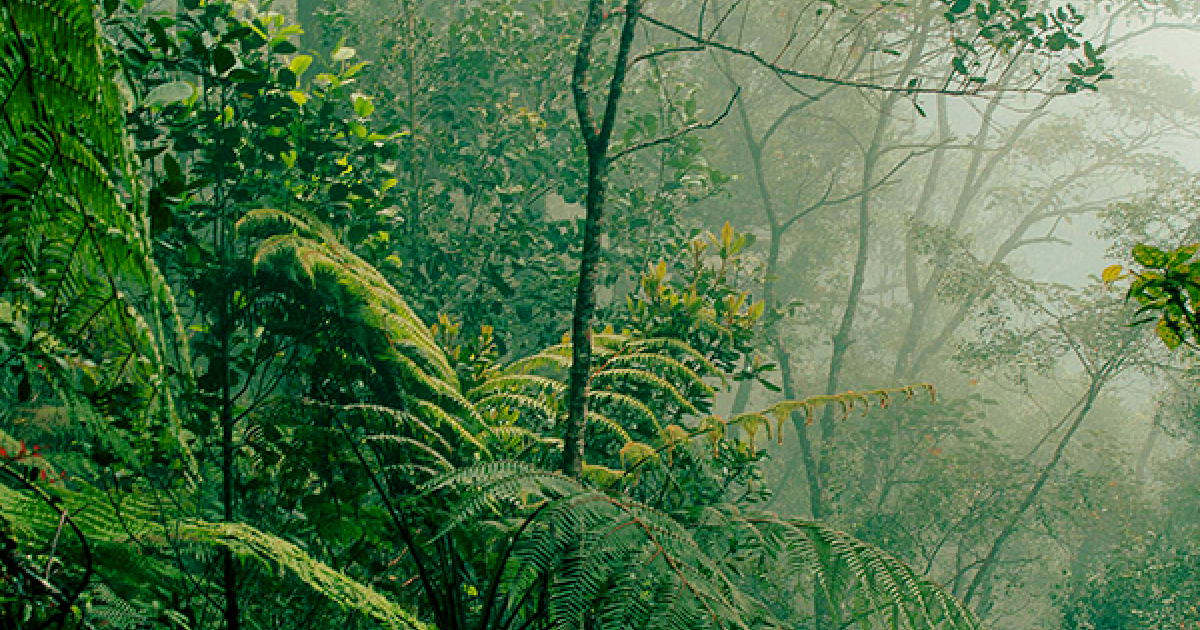 Ecology & Evolution Seminar Series | Ecology & Evolution | The ...